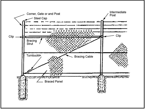 SECTION OVERVIEW (51)